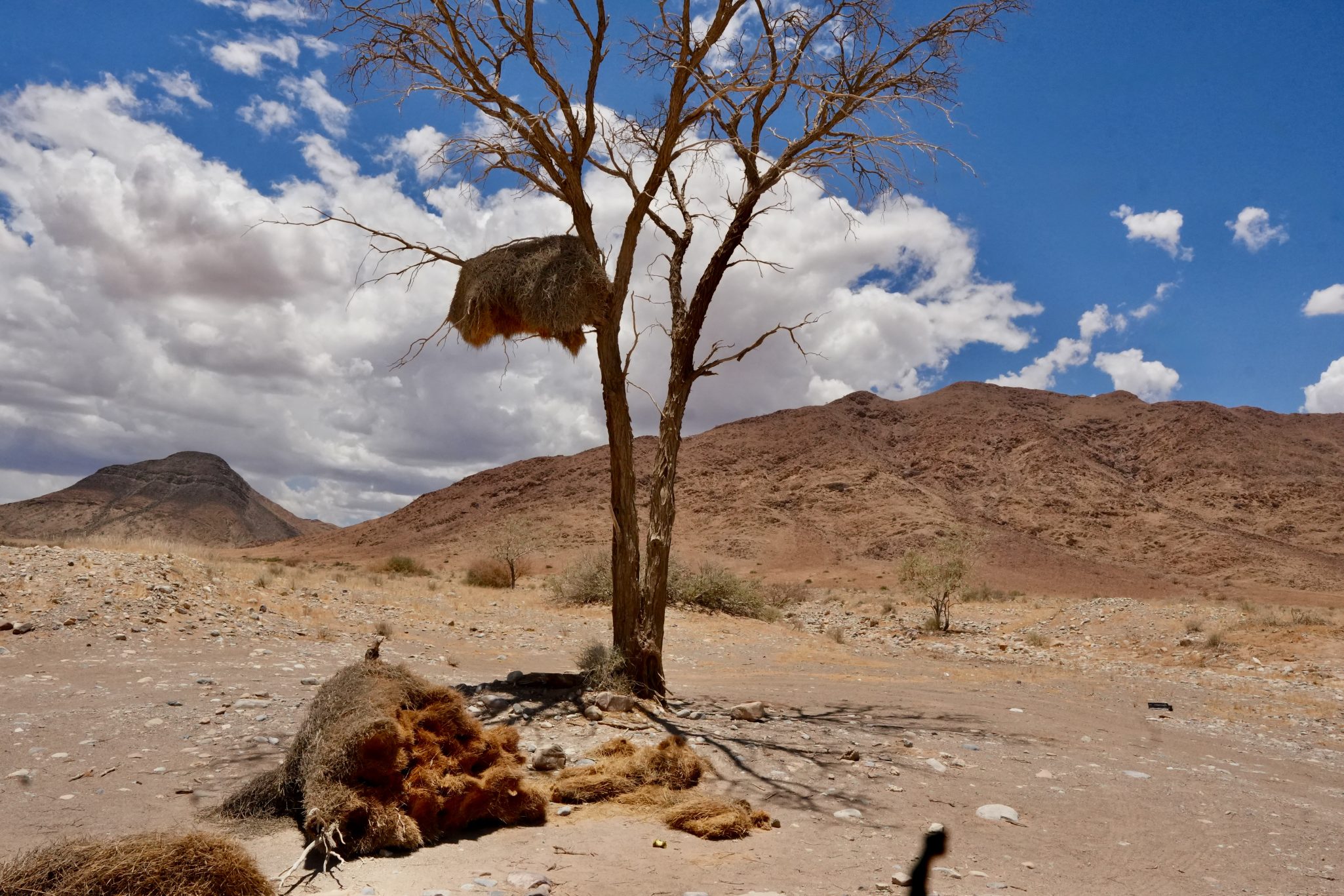 Namibia Travel Cost: Honest Budget Breakdown for 2026